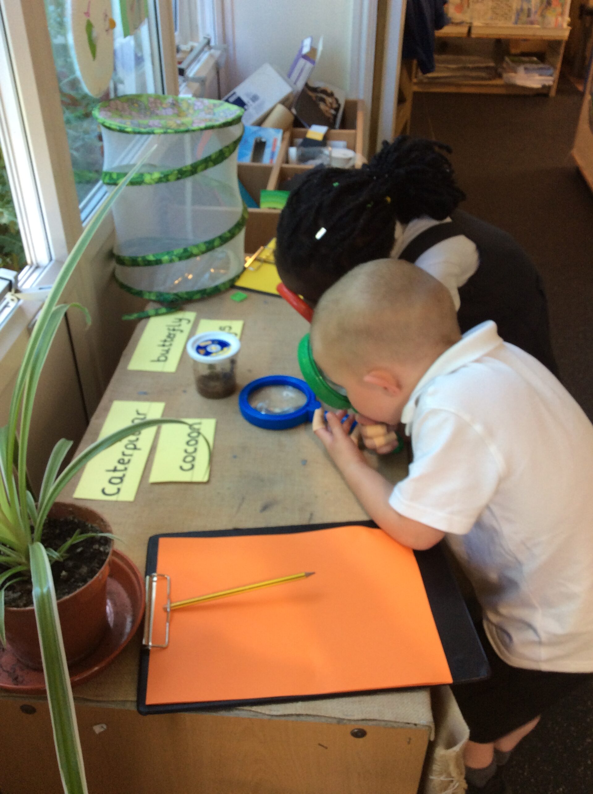 EYFS - The Parks Primary Academy